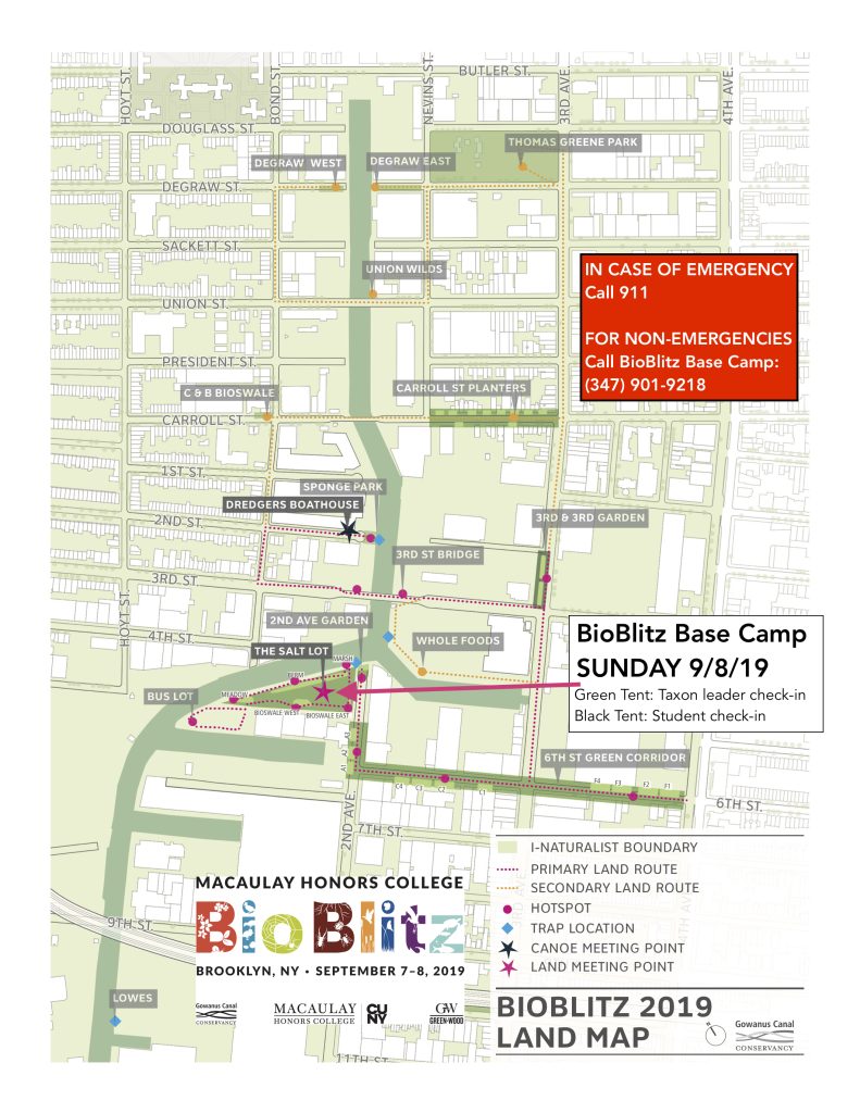 2019 Green-Wood Cemetery Gowanus Canal BioBlitz Data – bioblitz