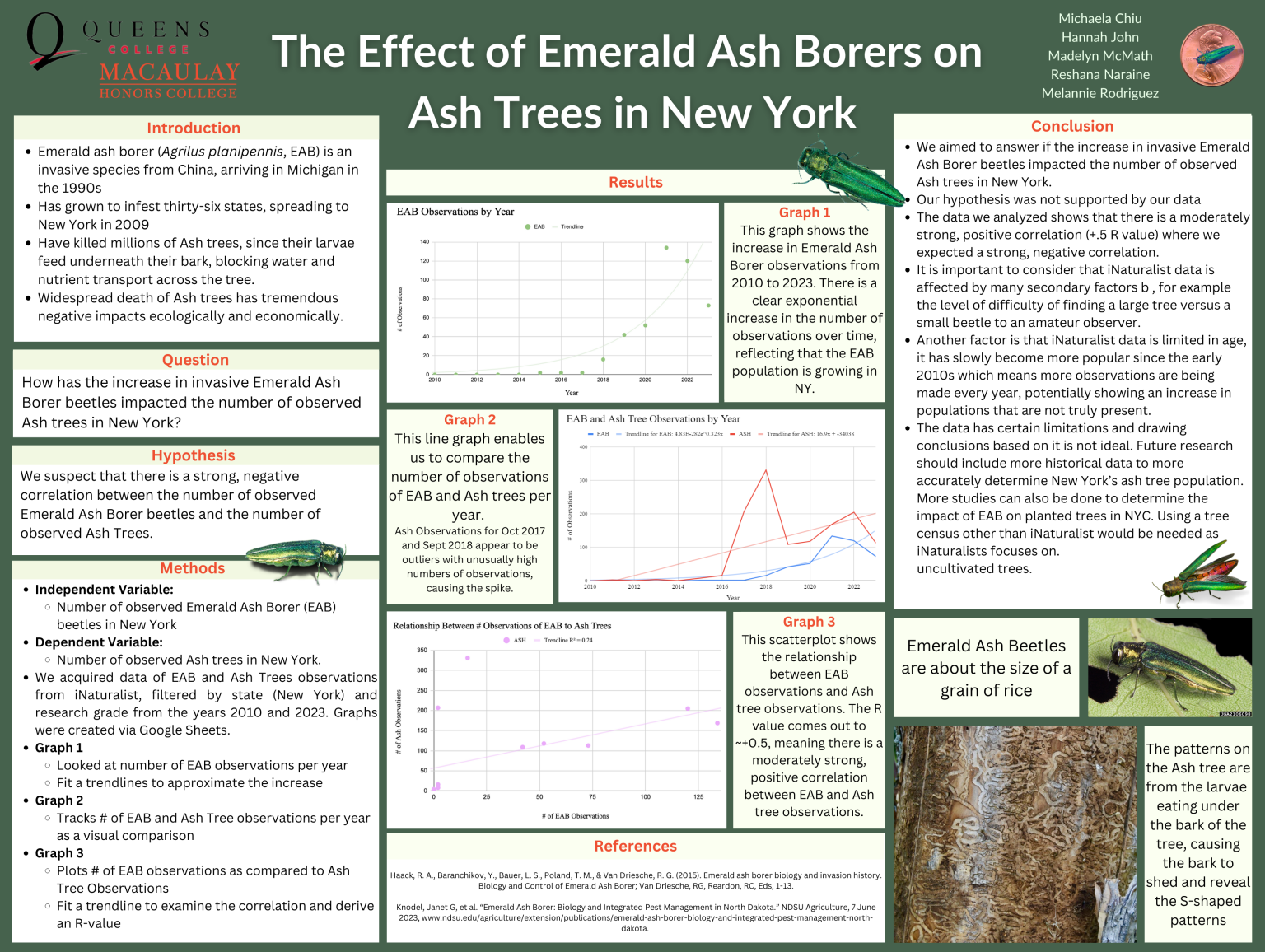 The Effect of Emerald Ash Borers on Ash Trees in New York – STEAM Festival