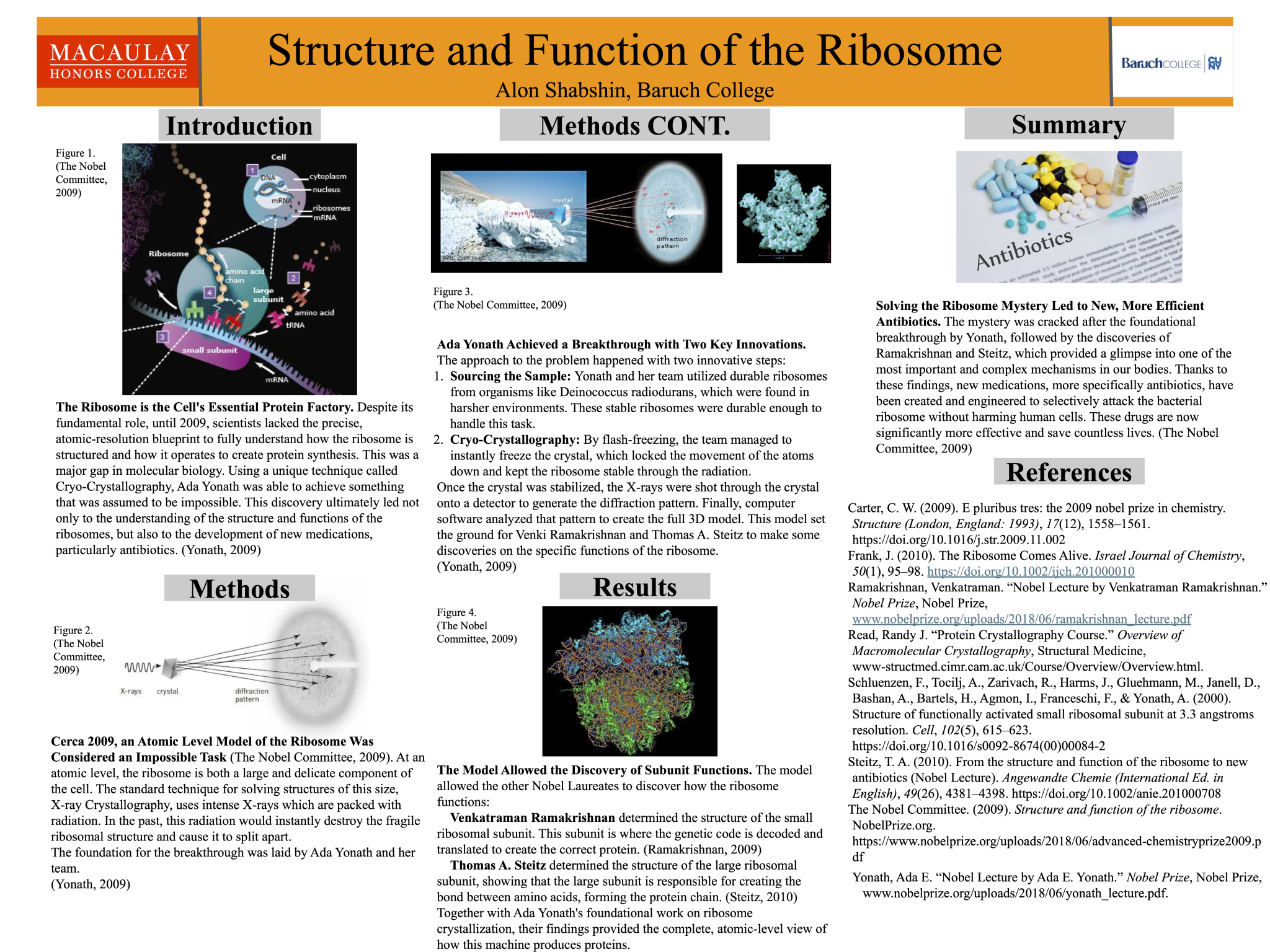 Function and Structure of the Ribosome – STEAM Festival